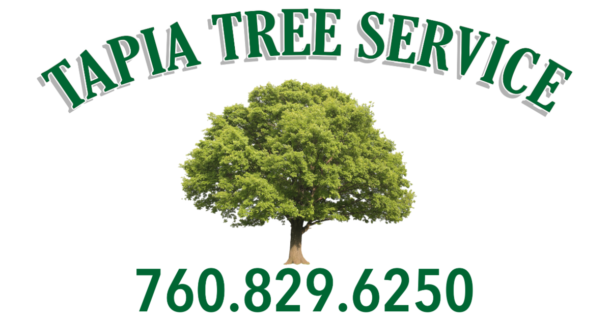 Tapia Tree Service